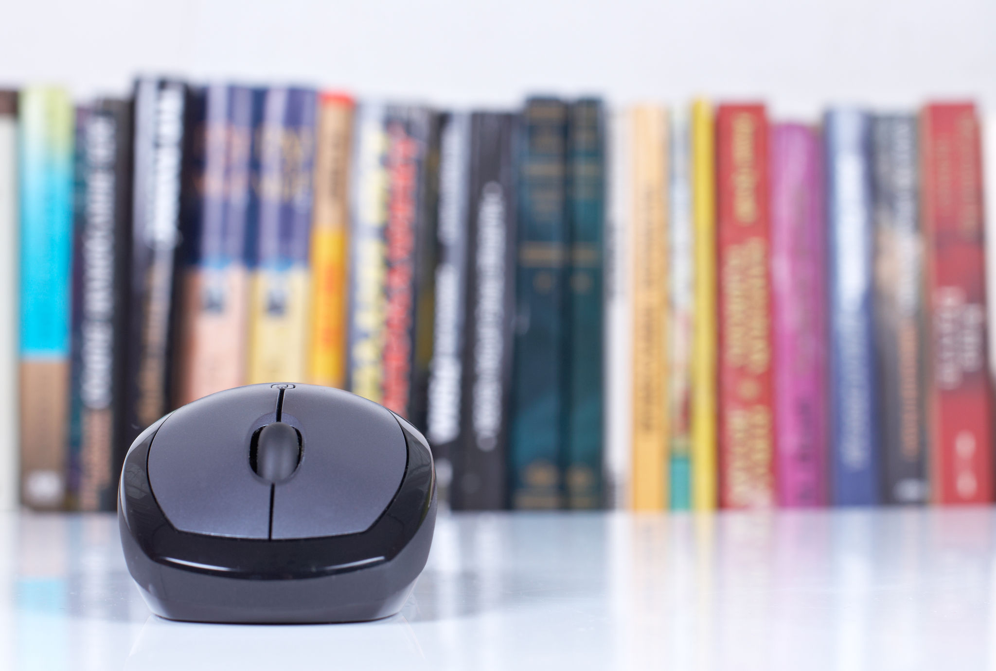 Detention locks for correctional facilities, patented key systems, high ...